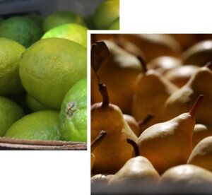 La distillerie Brana - Brana